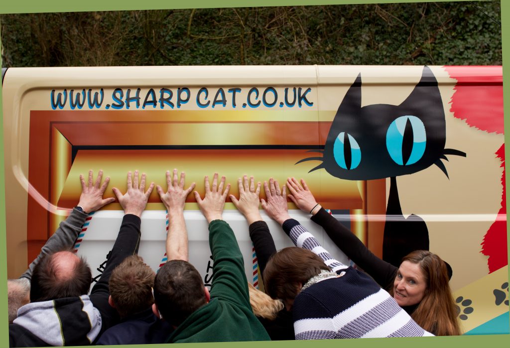 Sharp Cat 30 - Sharp Cat